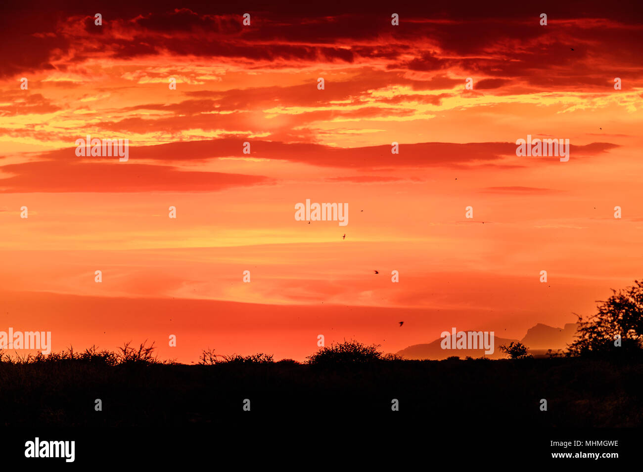 Beautiful sunset at the Erindi Private Game Reserve, Namibia Stock ...
