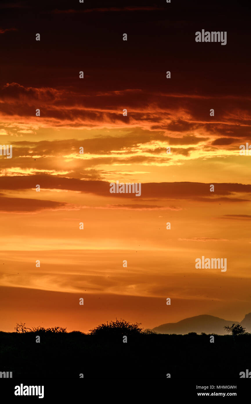 Beautiful sunset at the Erindi Private Game Reserve, Namibia Stock ...