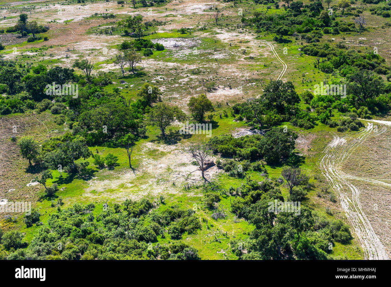 Aerial view of nature of Botswana, Africa Stock Photo - Alamy