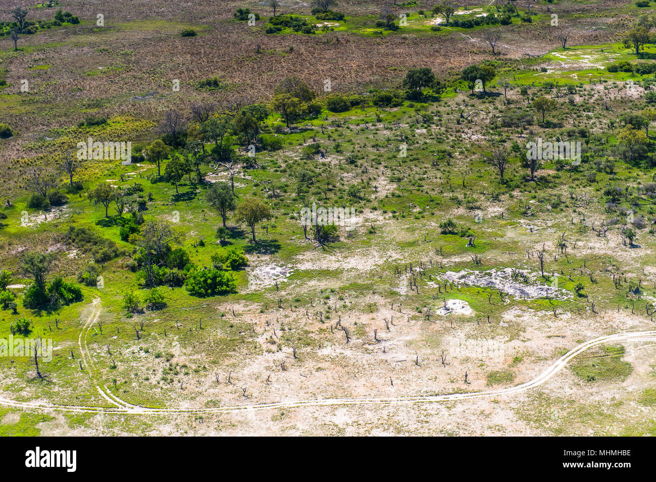 Aerial view of nature of Botswana, Africa Stock Photo - Alamy