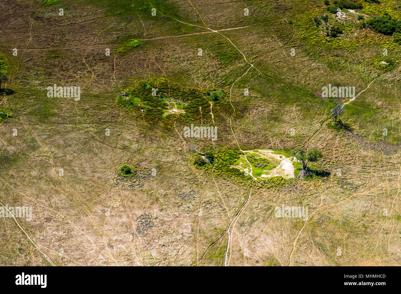 Aerial view of nature of Botswana, Africa Stock Photo - Alamy