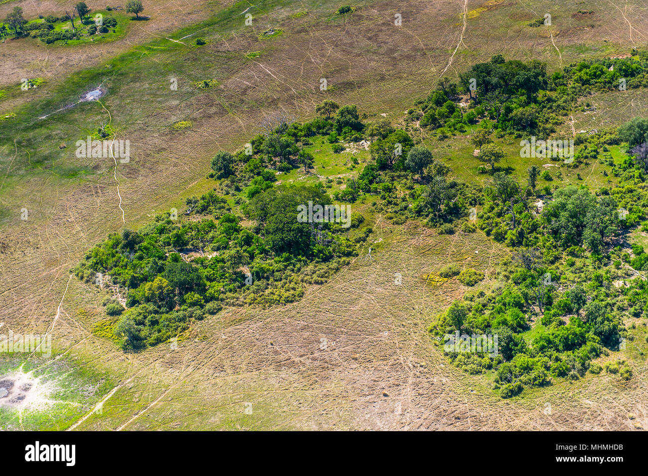 Aerial view of nature of Botswana, Africa Stock Photo - Alamy