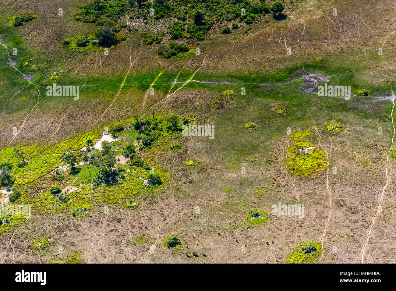 Aerial view of nature of Botswana, Africa Stock Photo - Alamy