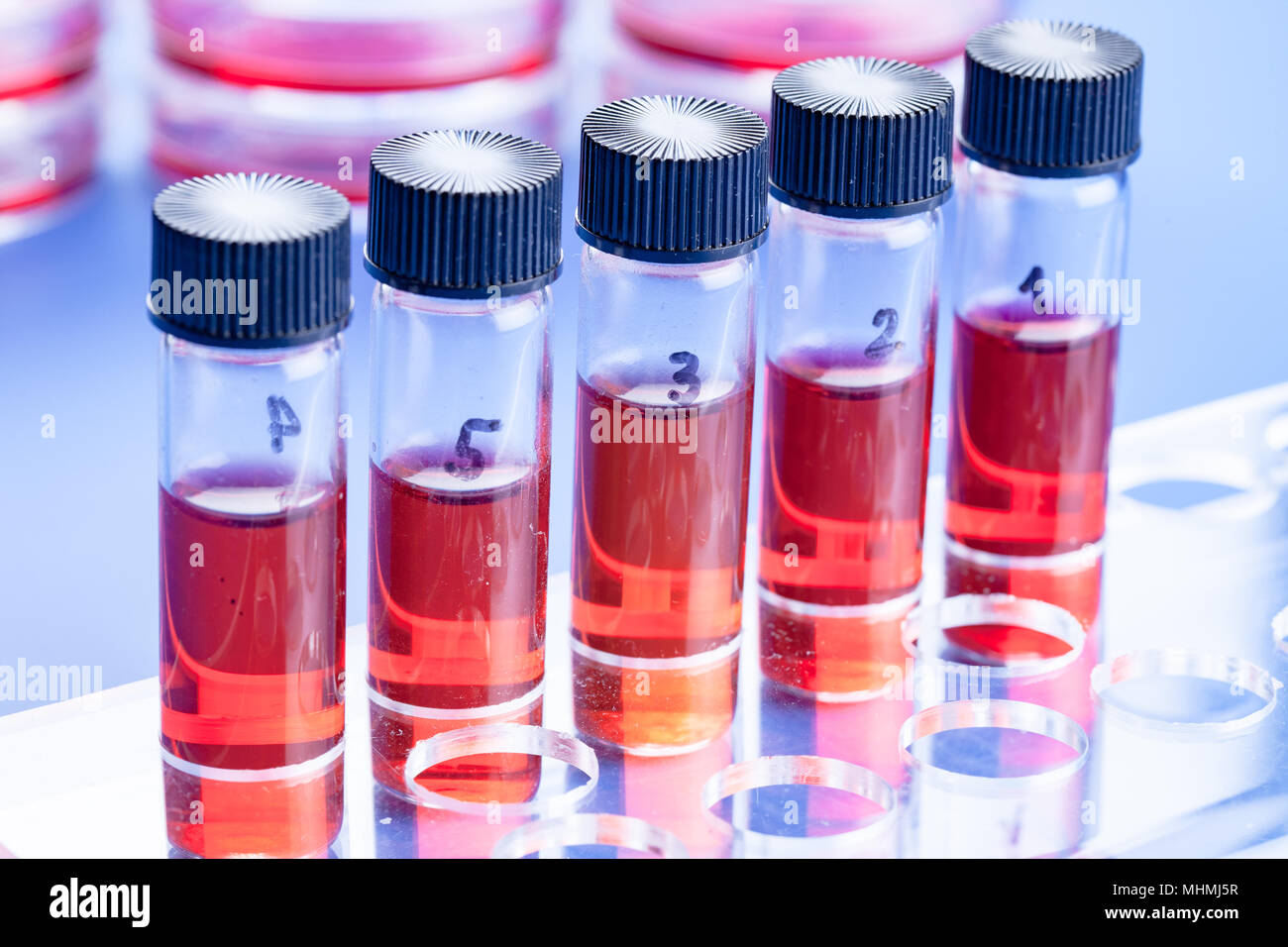 Test tube for biological samples Stock Photo - Alamy