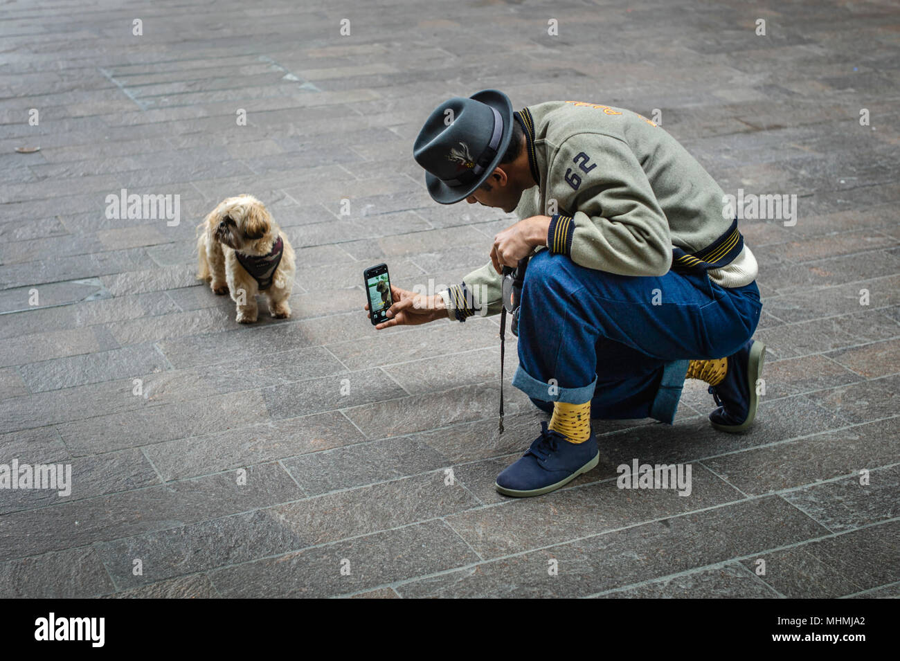 Doggy fashion hi-res stock photography and images - Alamy
