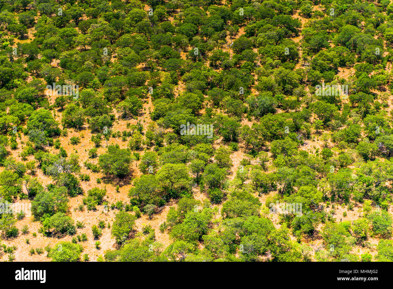 Aerial view Botswana Stock Photo - Alamy