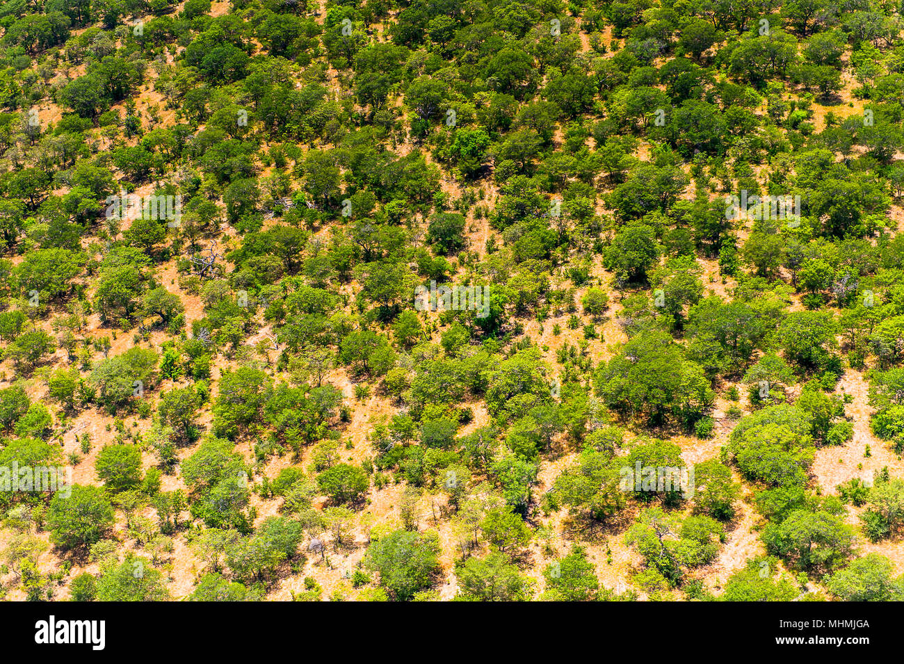 Aerial view Botswana Stock Photo - Alamy