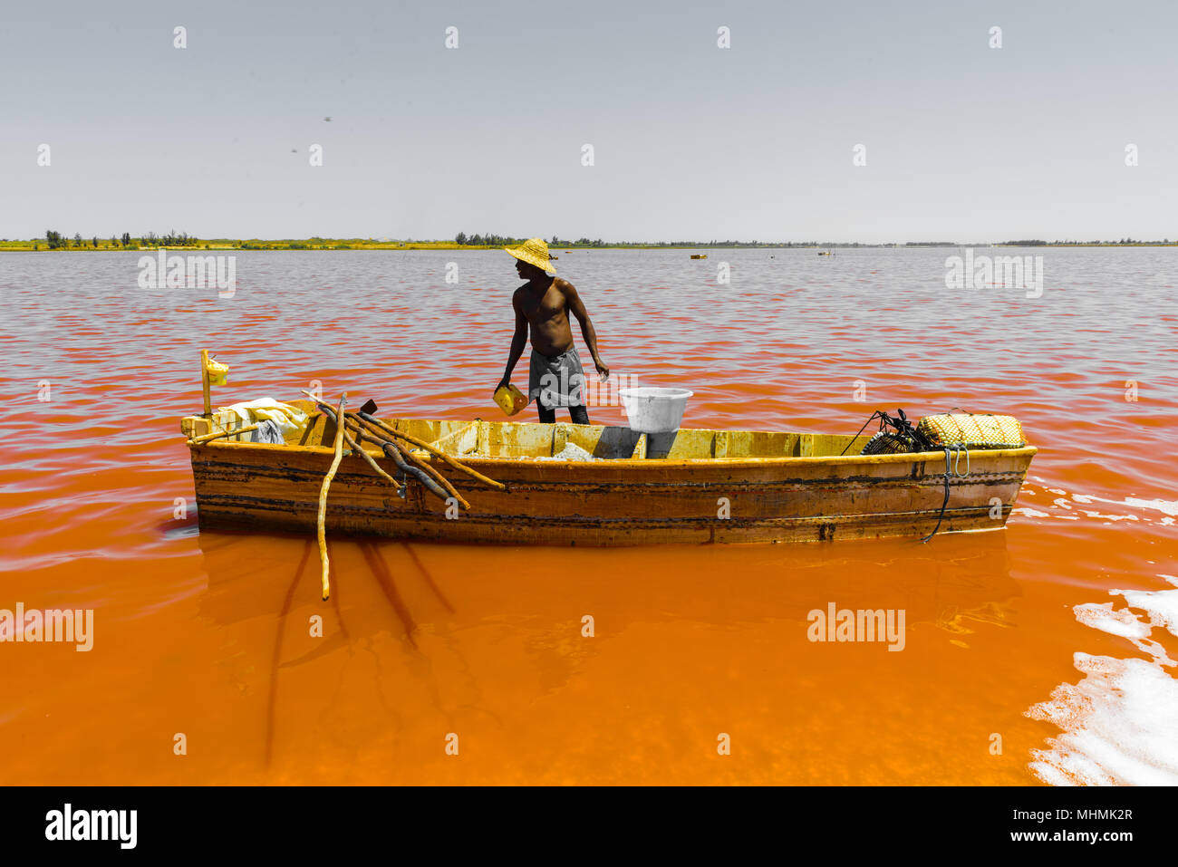 Lake Retba Fish