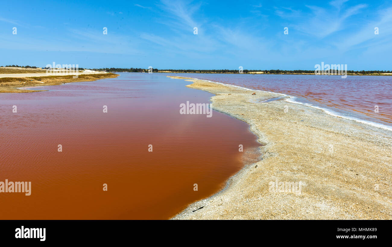 Landscape of the pink water lake in Senegal, Africa Stock Photo - Alamy