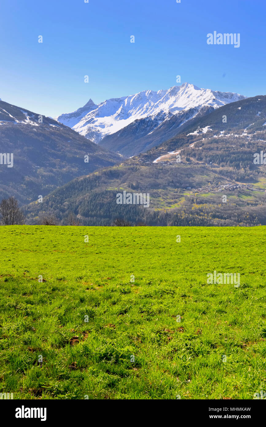 greenery meadow and peak of snowy mountain under blue sky Stock Photo ...