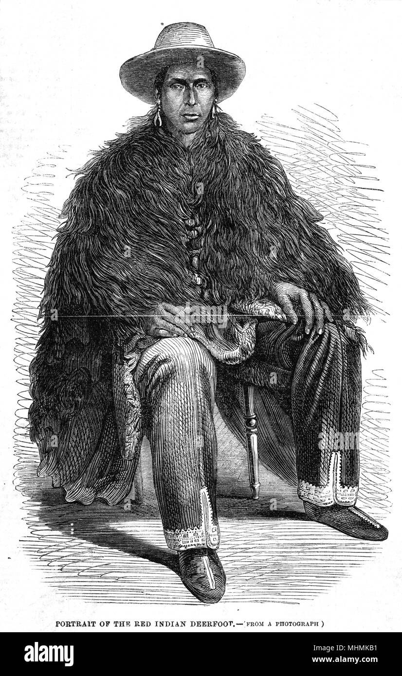 Sport Athletics Athletes Athletes High Resolution Stock Photography and ...