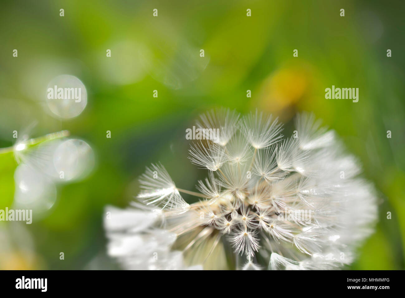 Flur hi-res stock photography and images - Alamy