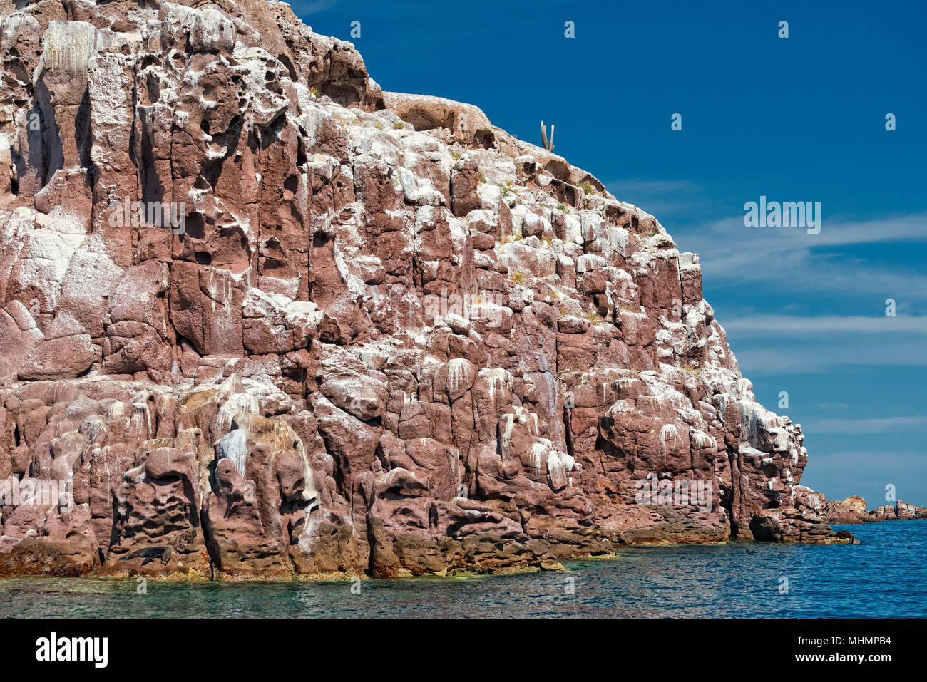 los islotes mexico espiritu santu island sea lion retreat Stock Photo ...
