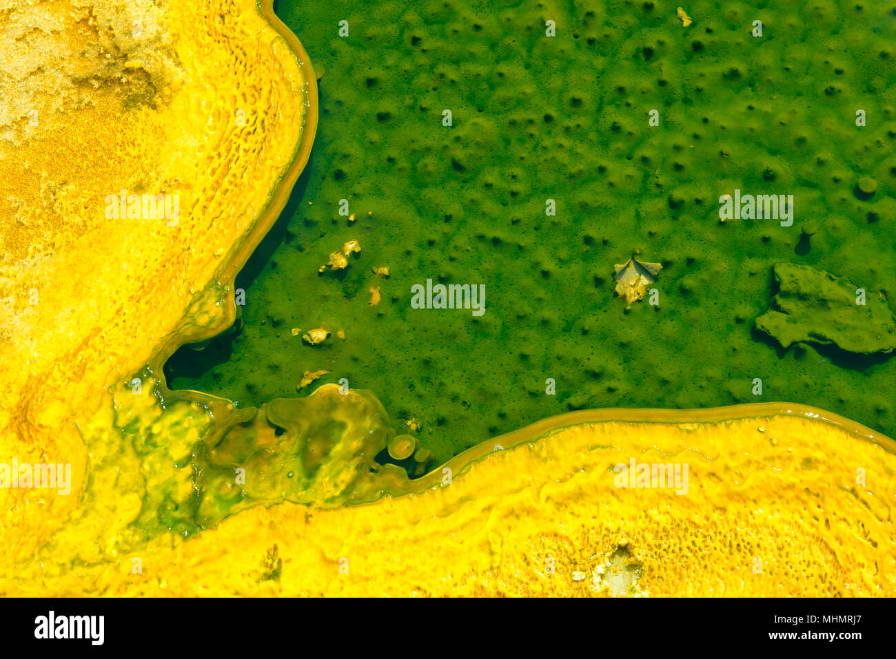 yellowstone hot springs natural background texture with superb colors ...