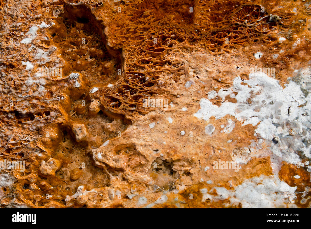 yellowstone hot springs natural background texture with superb colors ...