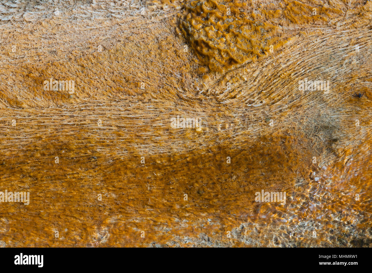 yellowstone hot springs natural background texture with superb colors ...