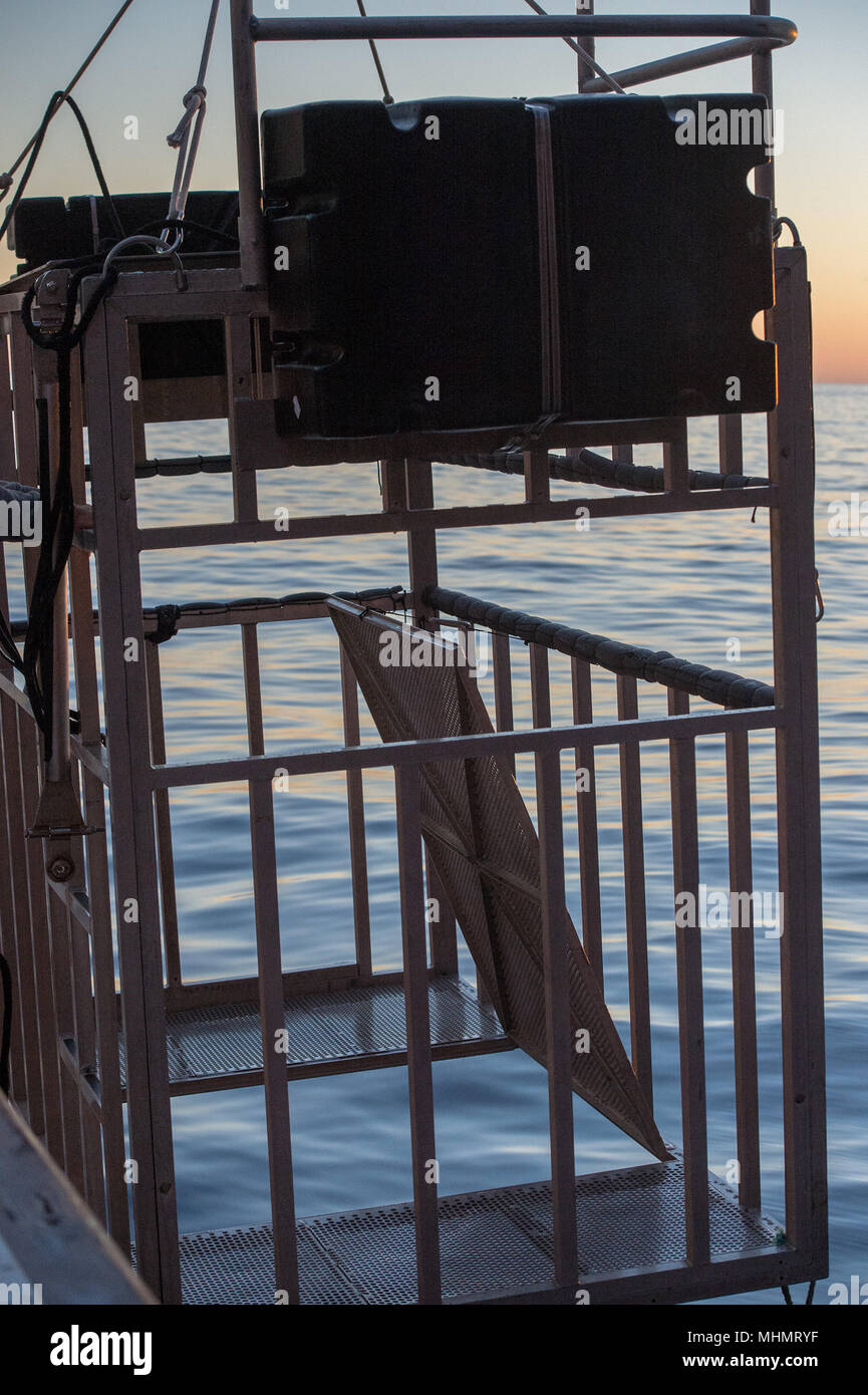 Shark cage to dive with great white Stock Photo - Alamy