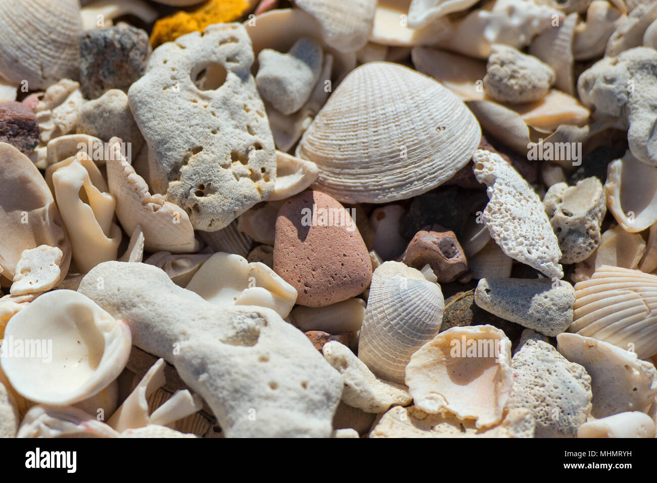 Coral white sands hi-res stock photography and images - Alamy