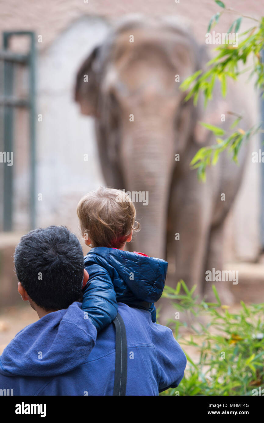 Petting an elephant hi-res stock photography and images - Alamy
