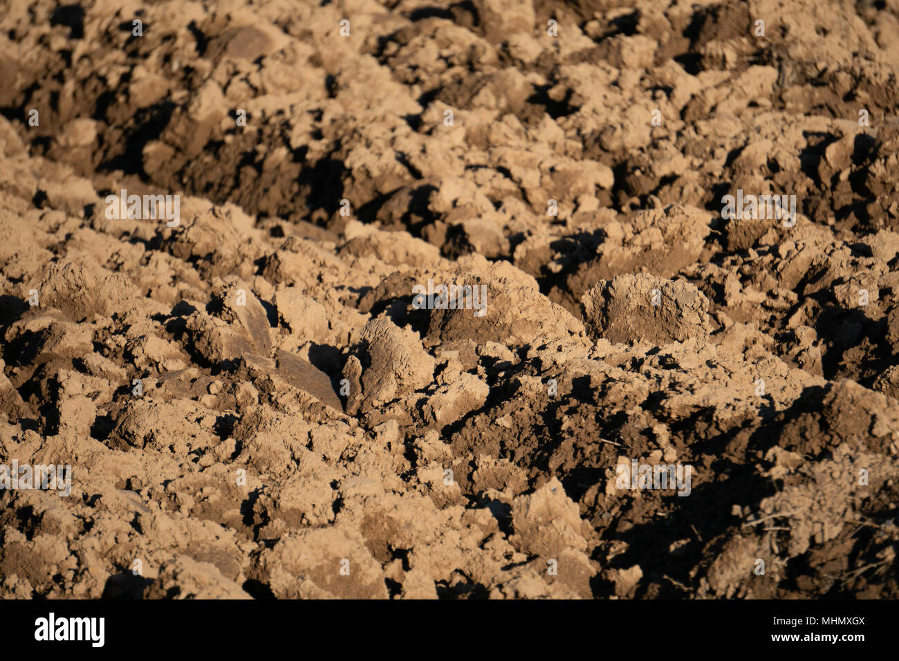 Turning up soil hi-res stock photography and images - Alamy