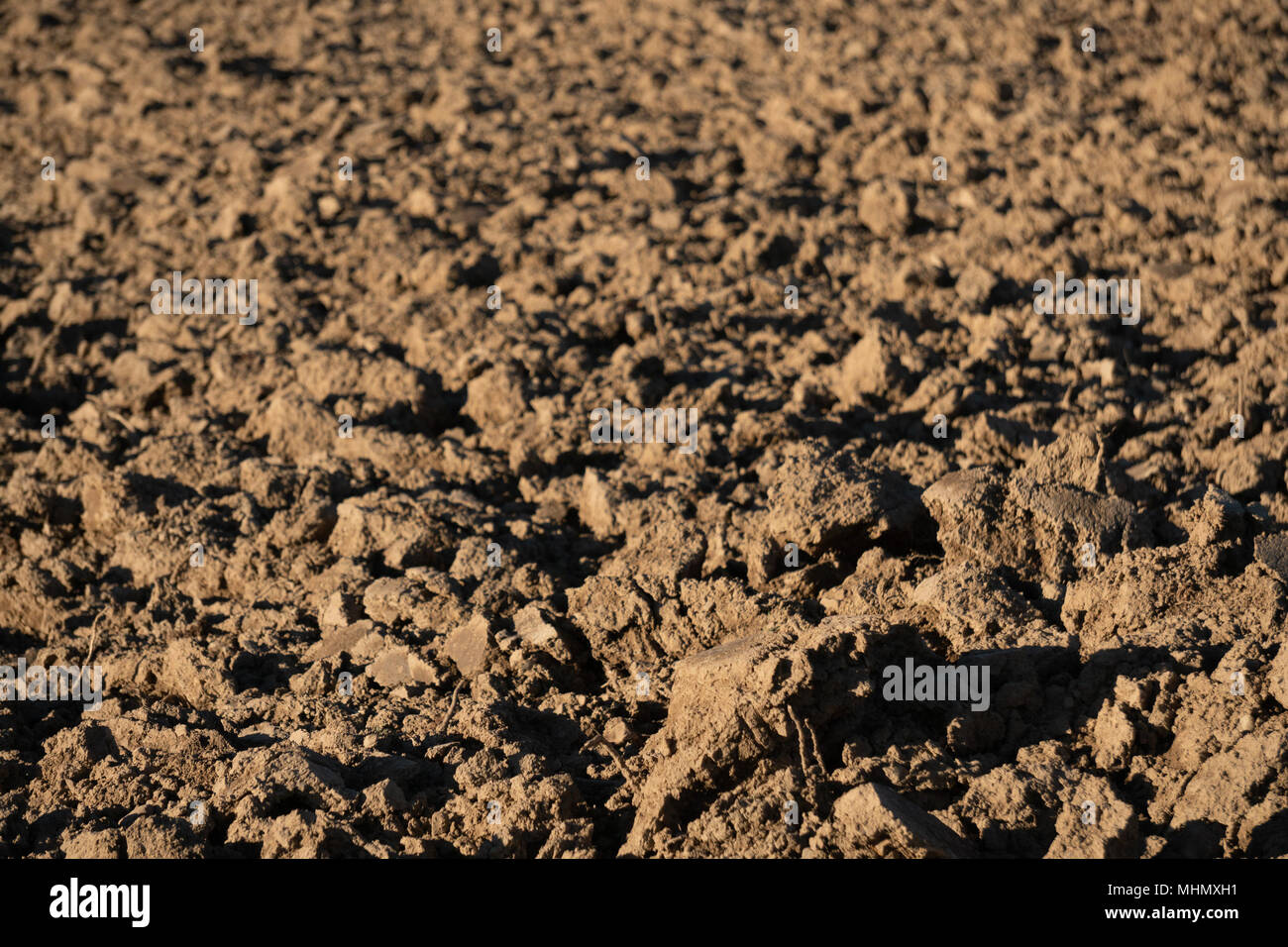 Turned earth garden hi-res stock photography and images - Alamy