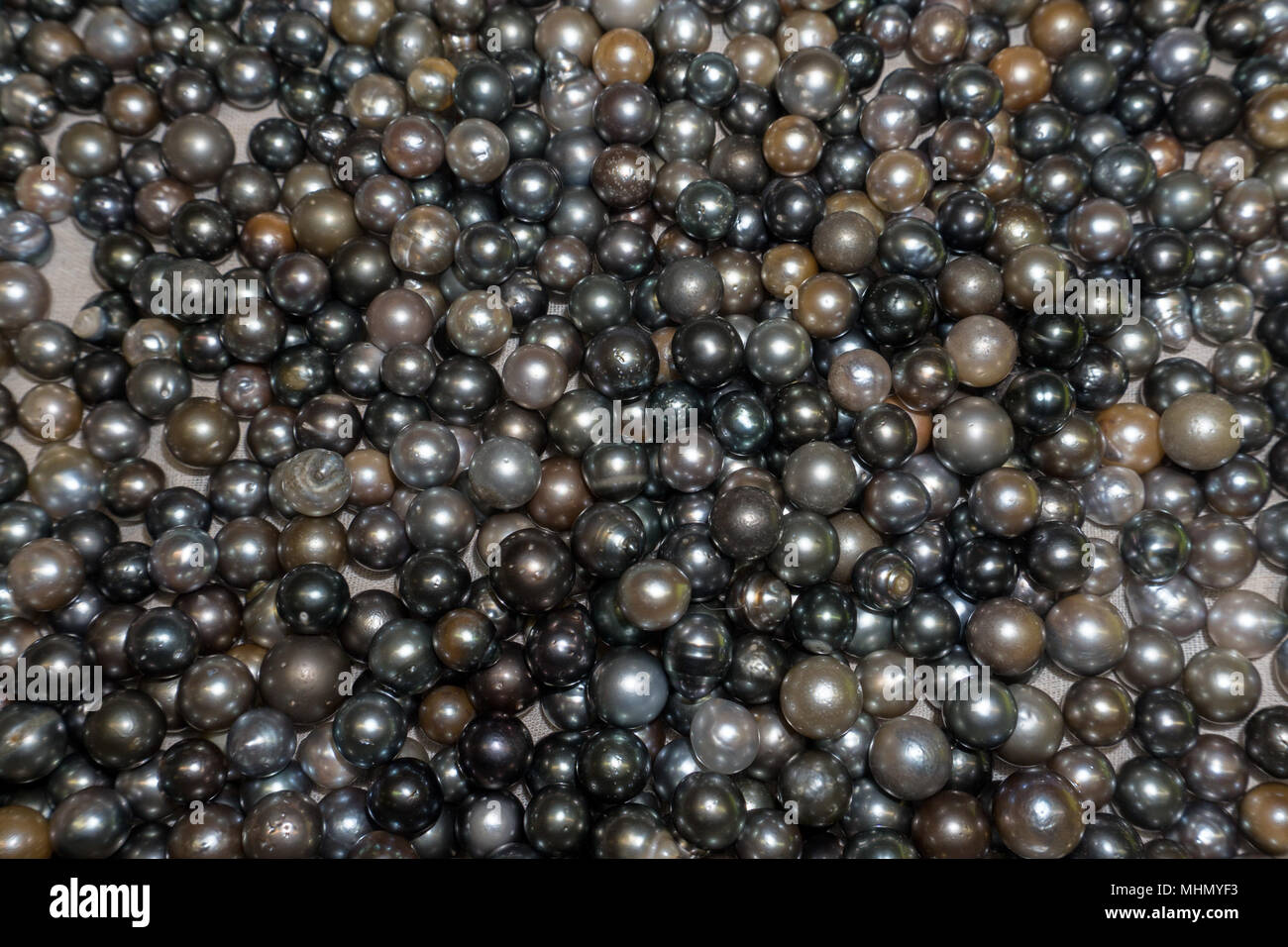 many black pearls in polynesia cook islands Stock Photo - Alamy