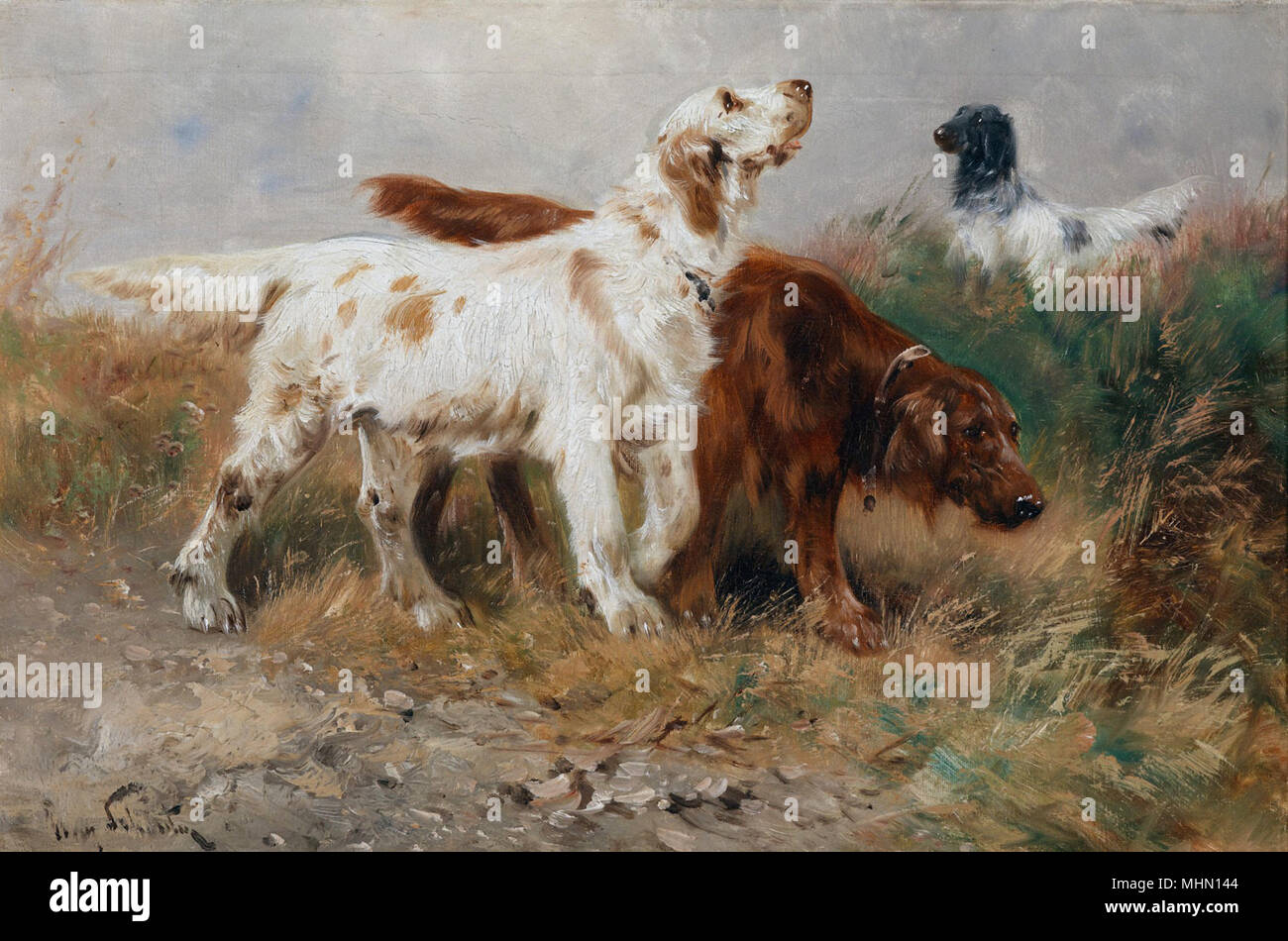 Henry Schouten High Resolution Stock Photography and Images - Alamy