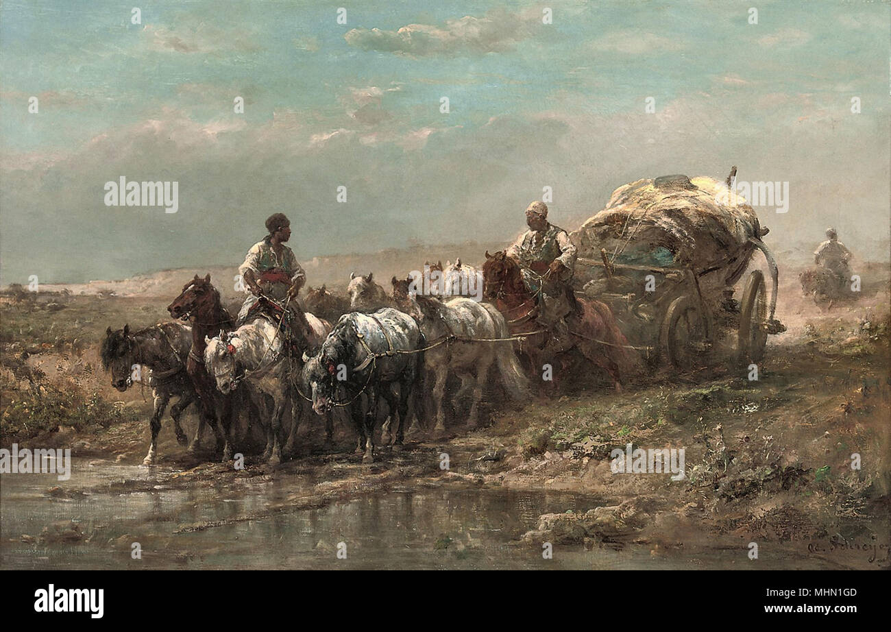 Horses fording river hi-res stock photography and images - Alamy