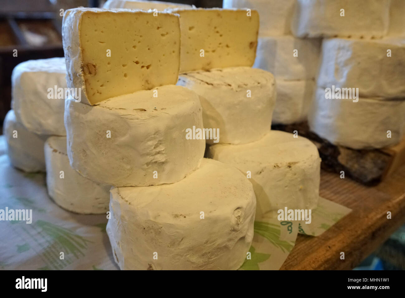 italian goat cheese at the market Stock Photo - Alamy