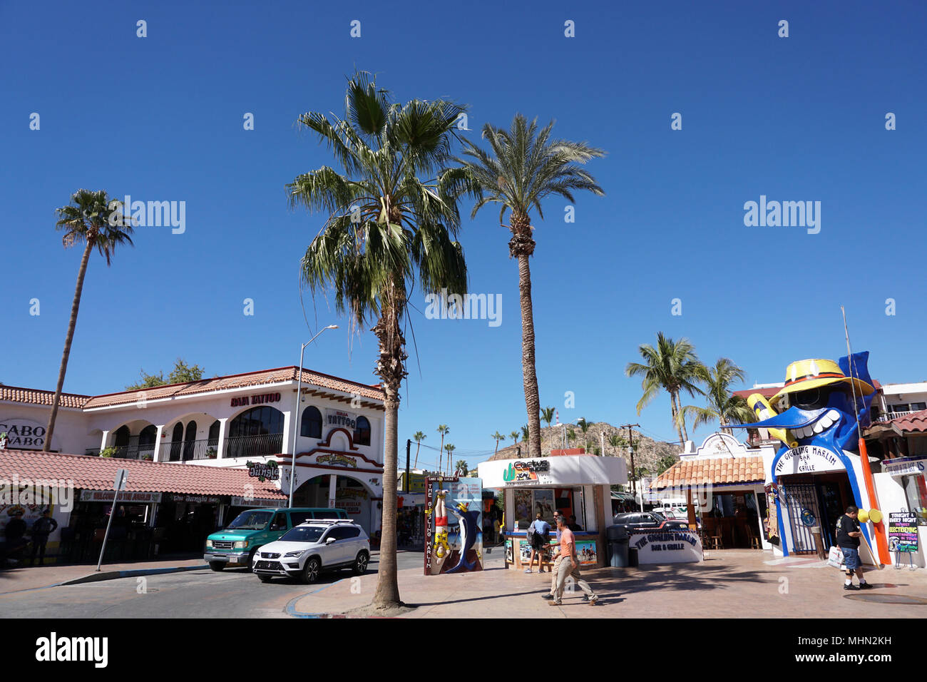 CABO SAN LUCAS, MEXICO - JANUARY 25 2018 - Pacific coast mexican baja ...