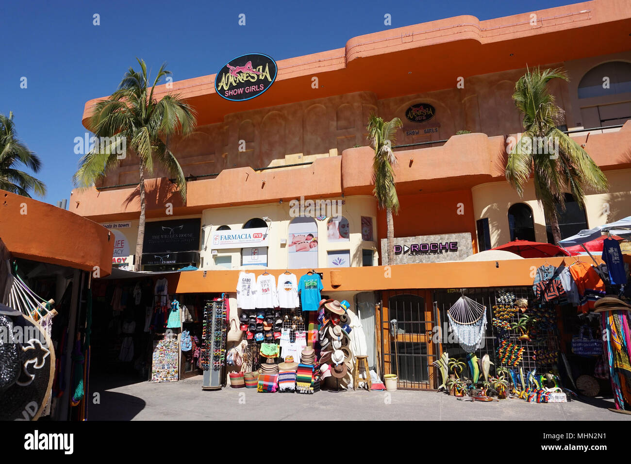 CABO SAN LUCAS, MEXICO - JANUARY 25 2018 - Pacific coast mexican baja ...
