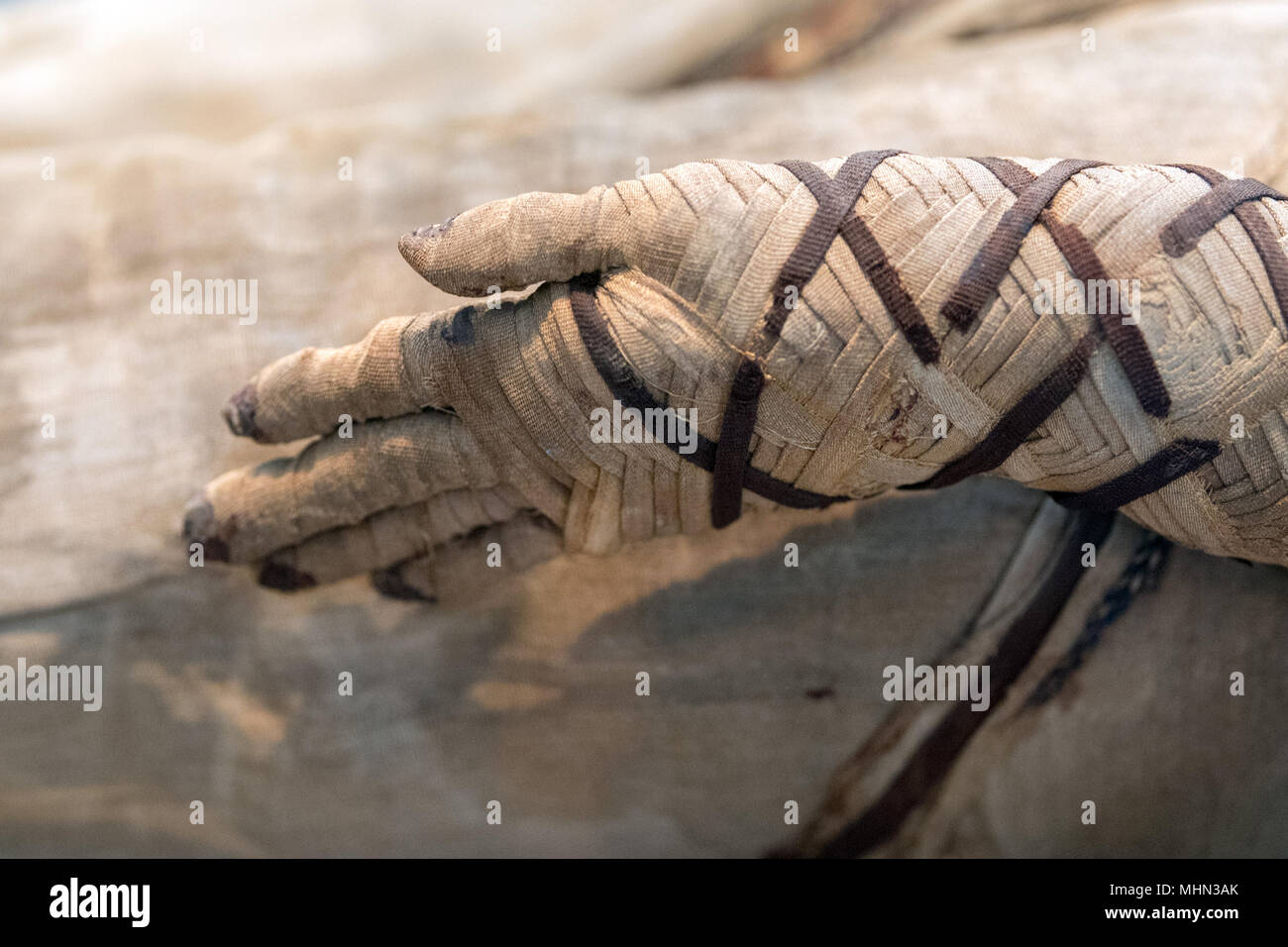 Egyptian mummy close up detail of hand Stock Photo - Alamy