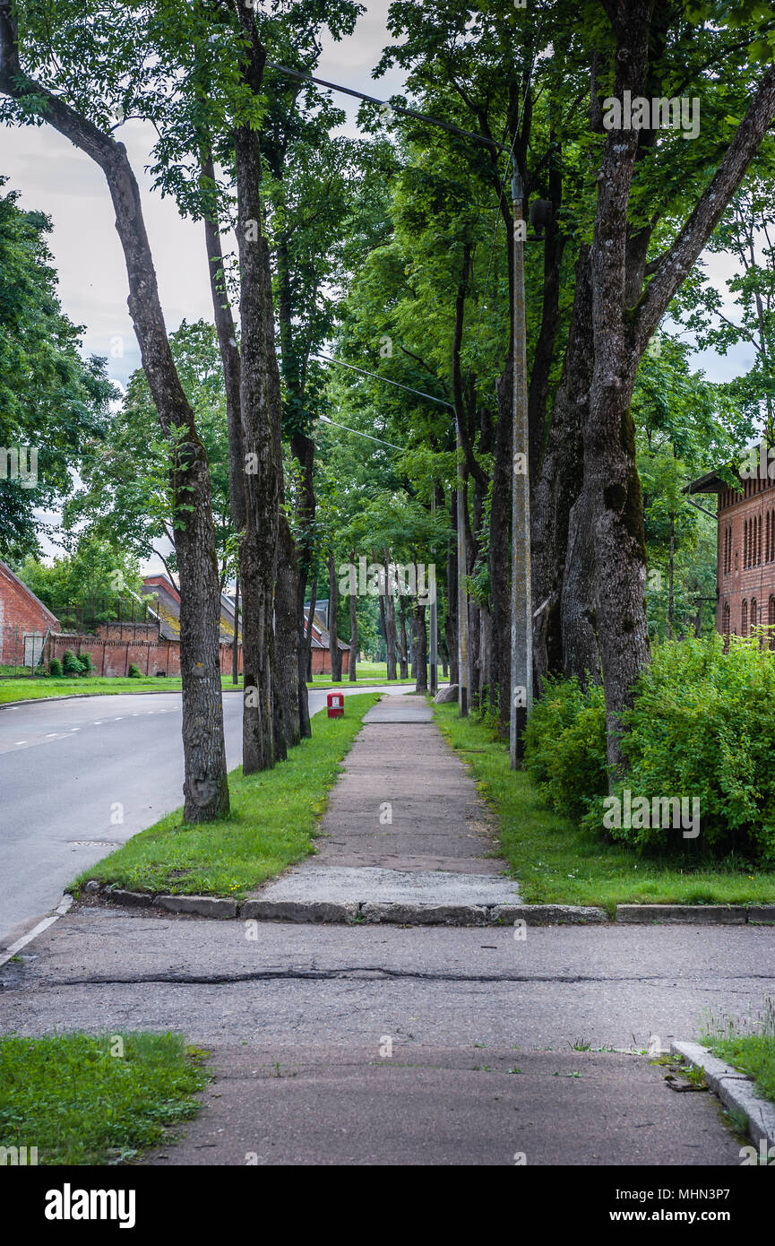 City road running through tree alley. Intersection of roads. Narva ...