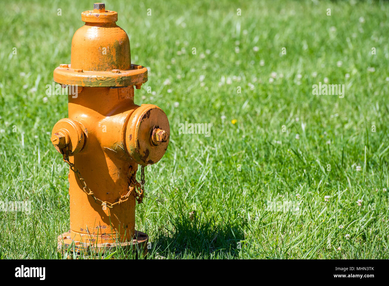 Bright yellow fire hydrant on hi-res stock photography and images - Alamy