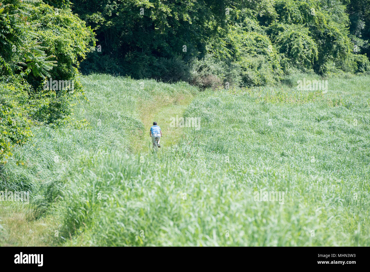 man cycling in the grass background to the forest on sunny summer day ...