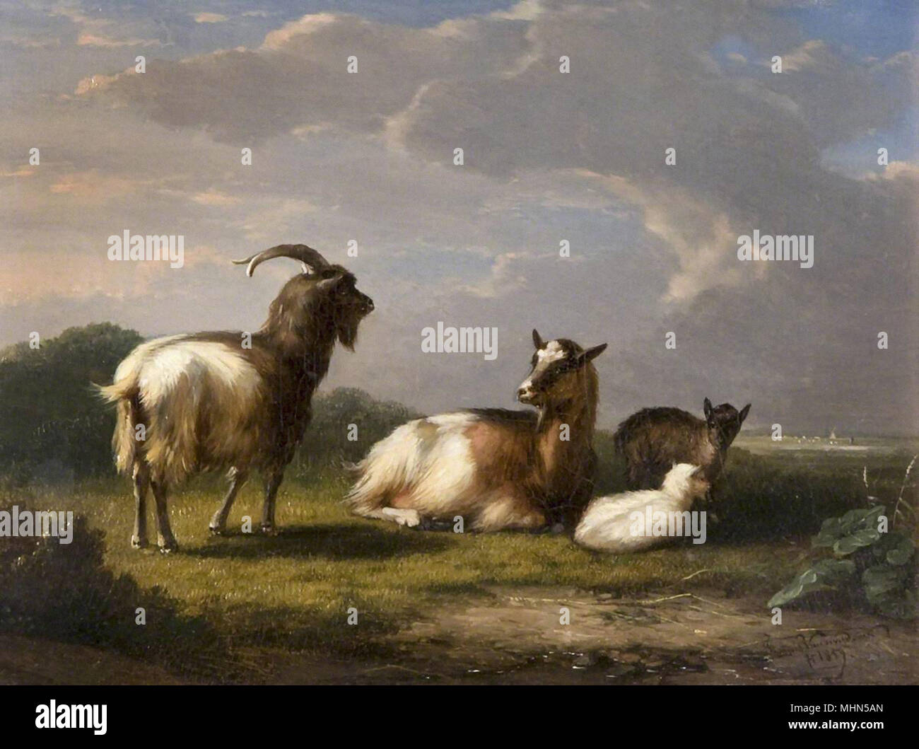Severdonck Frans Van - Goats Stock Photo - Alamy