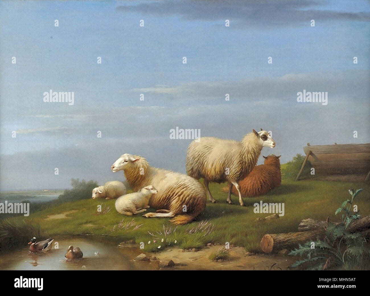 Severdonck Frans Van - Sheep and Ducks Stock Photo - Alamy