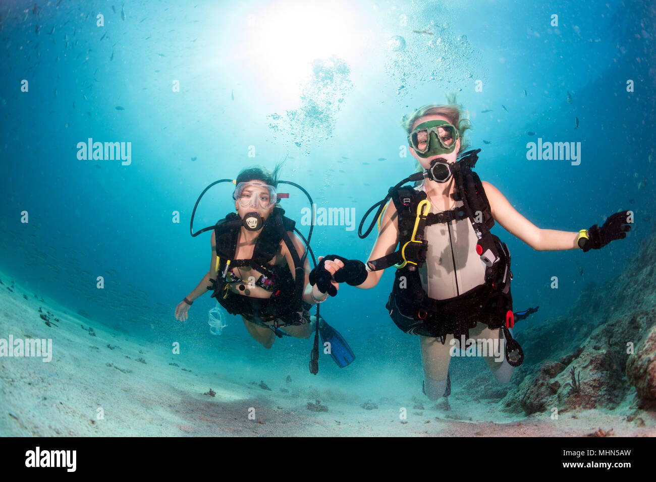 Underwater Bikini Girl Swimmer Diver High Resolution Stock Photography ...
