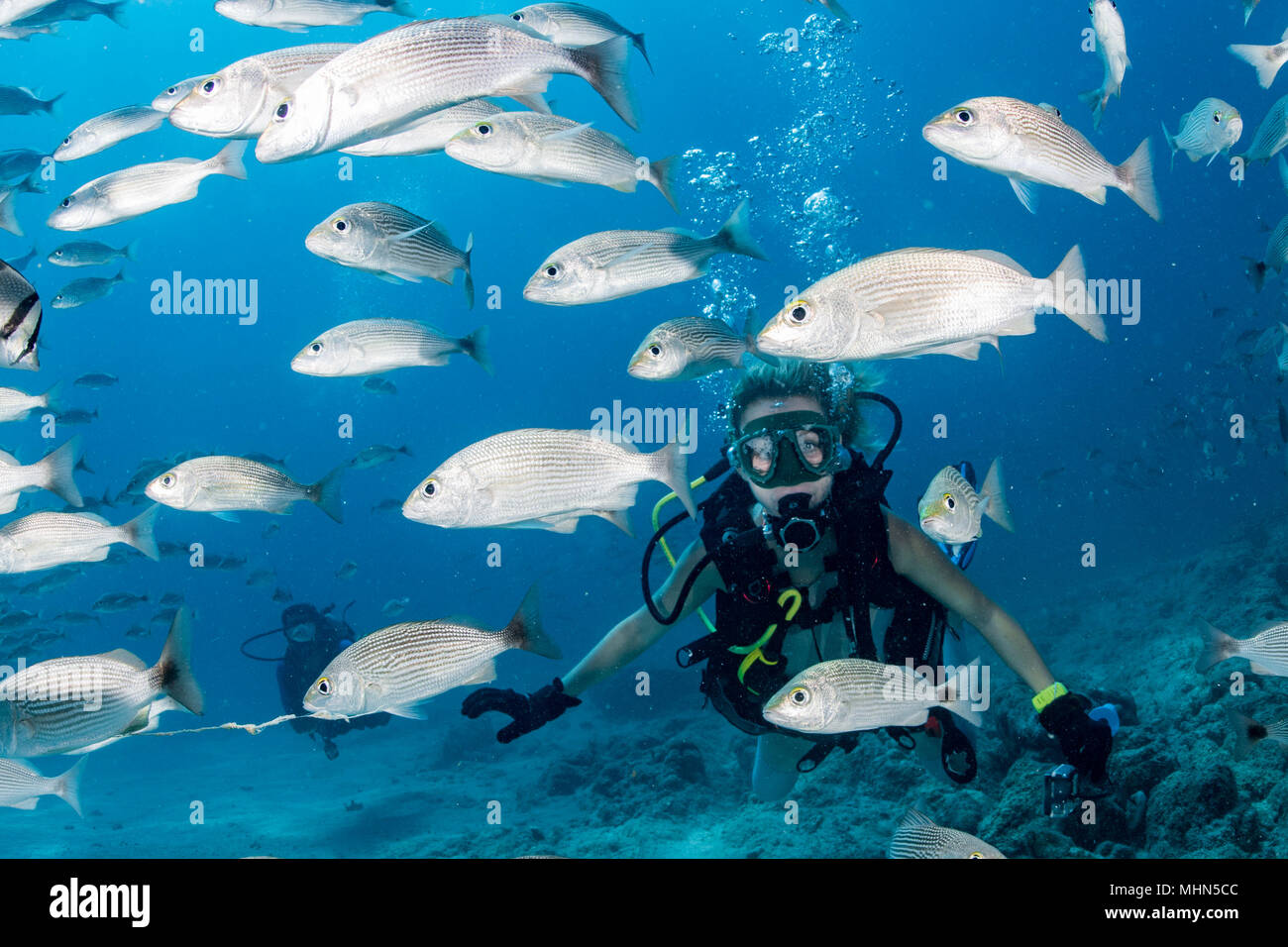 beautiful diver blonde girl diving in the deep blue sea Stock Photo - Alamy