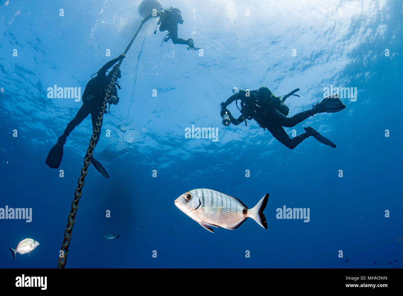 group of diver under boat for deco time in the blue sea background ...
