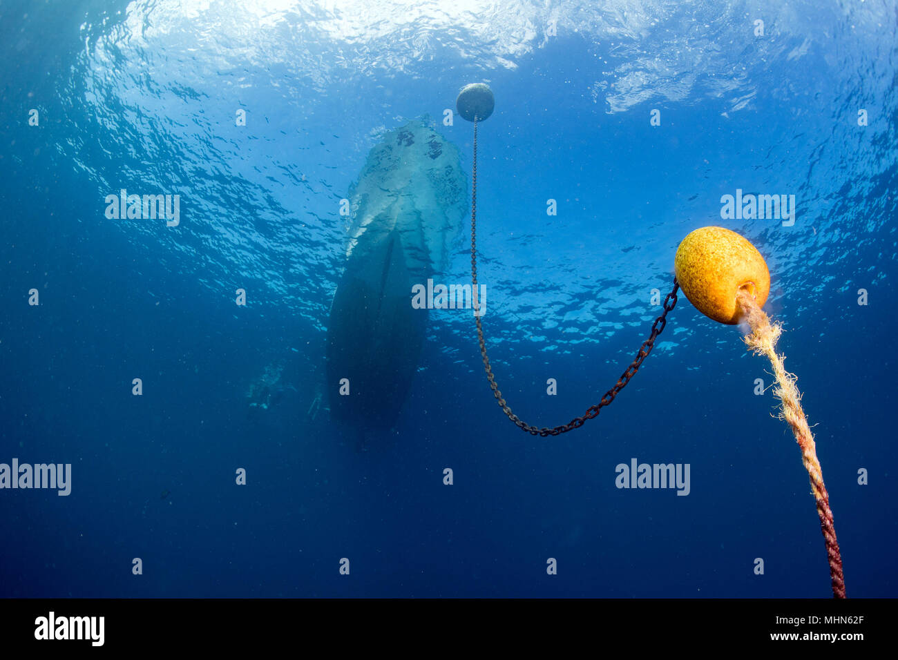 boat chain and yellow buoy anchor from underwater Stock Photo - Alamy