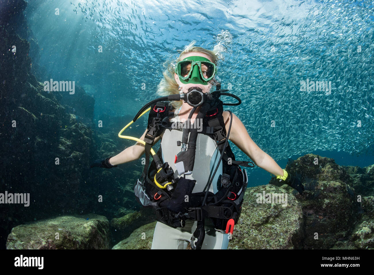 Pretty Woman Scuba Diving High Resolution Stock Photography and Images ...