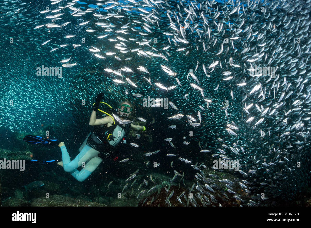 Female bikini scuba diver underwater hi-res stock photography and ...
