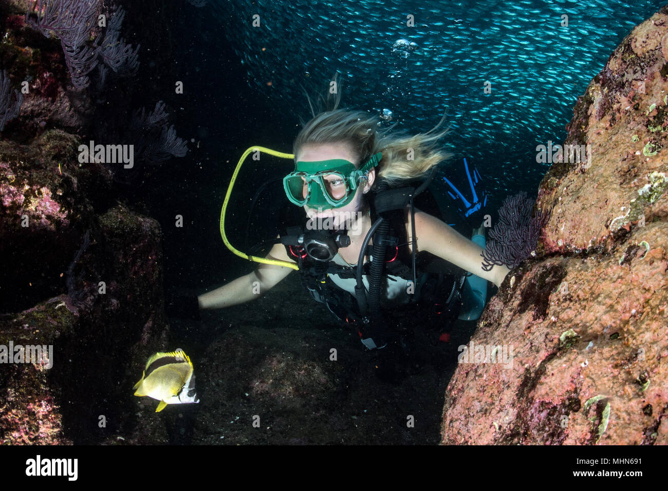 Scuba diver young woman blonde hi-res stock photography and images - Alamy