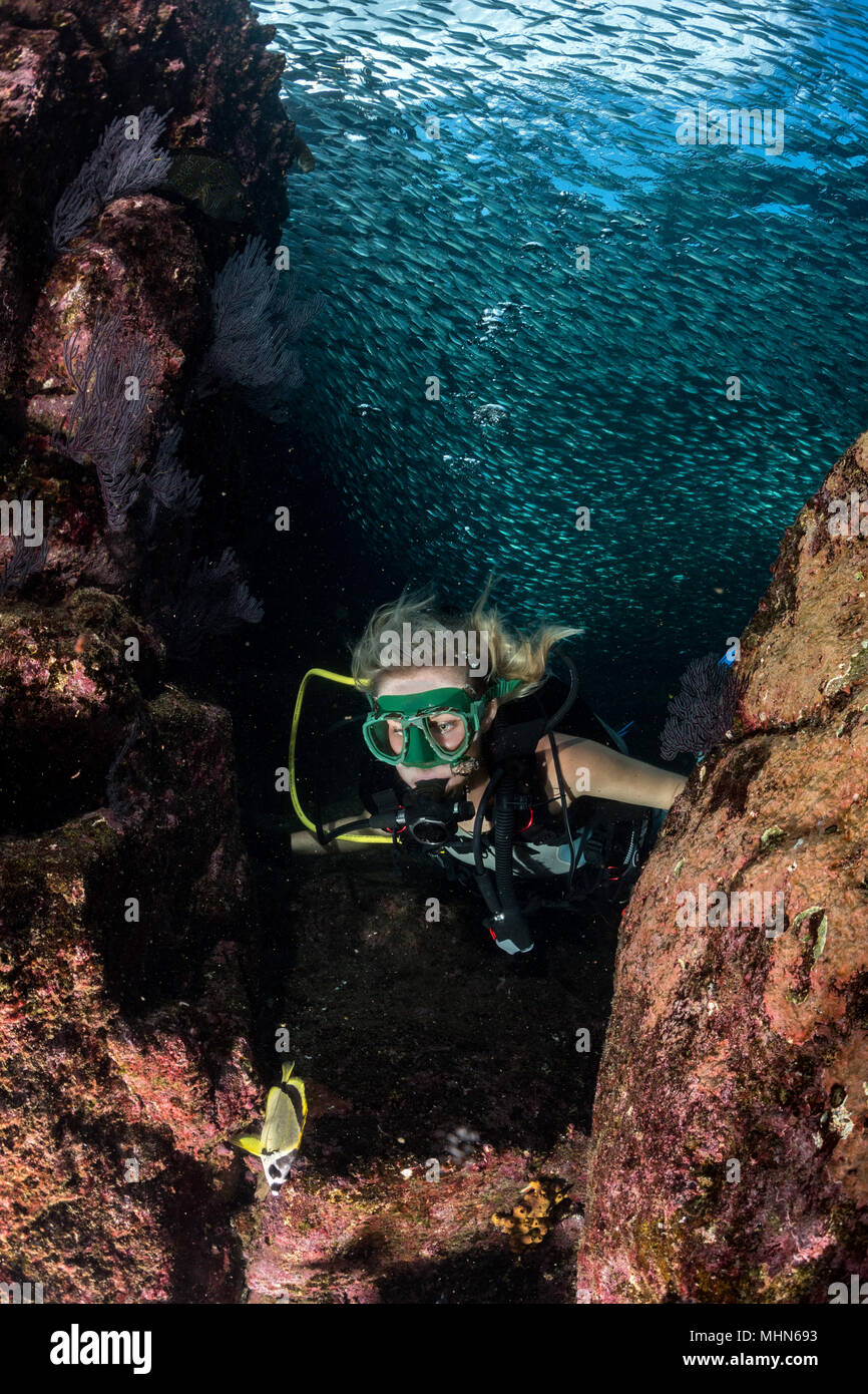 beautiful diver blonde girl diving in the deep blue sea Stock Photo - Alamy