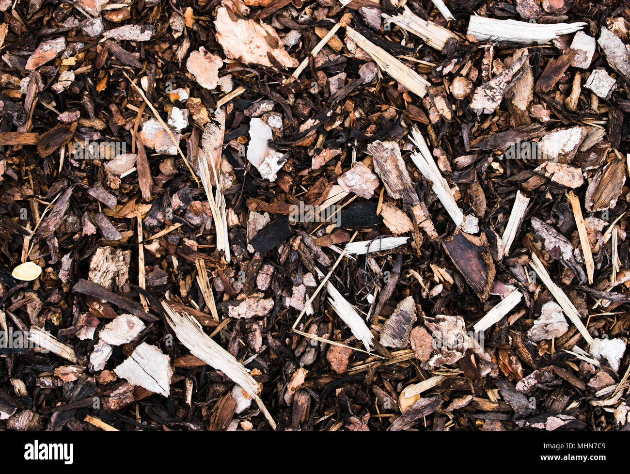 Wood sawdust texture material background closeup, top view Stock Photo ...