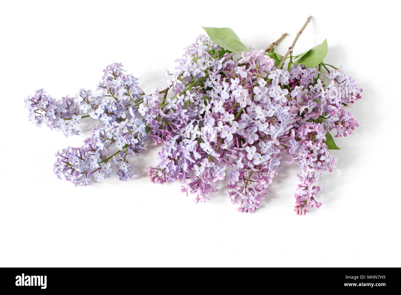 Floral cluster view Cut Out Stock Images & Pictures - Alamy