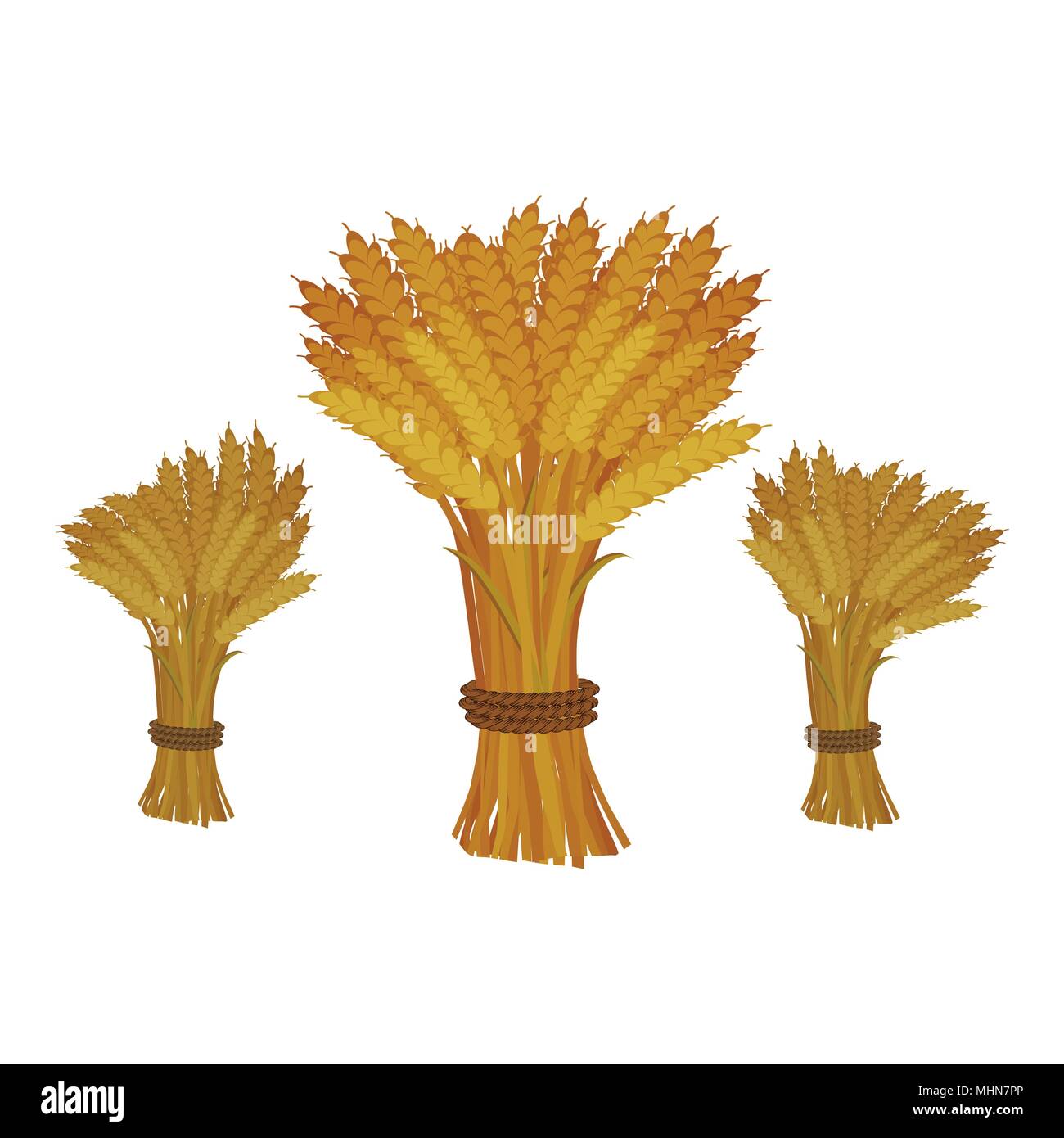 Sheaves of wheat hi-res stock photography and images - Alamy