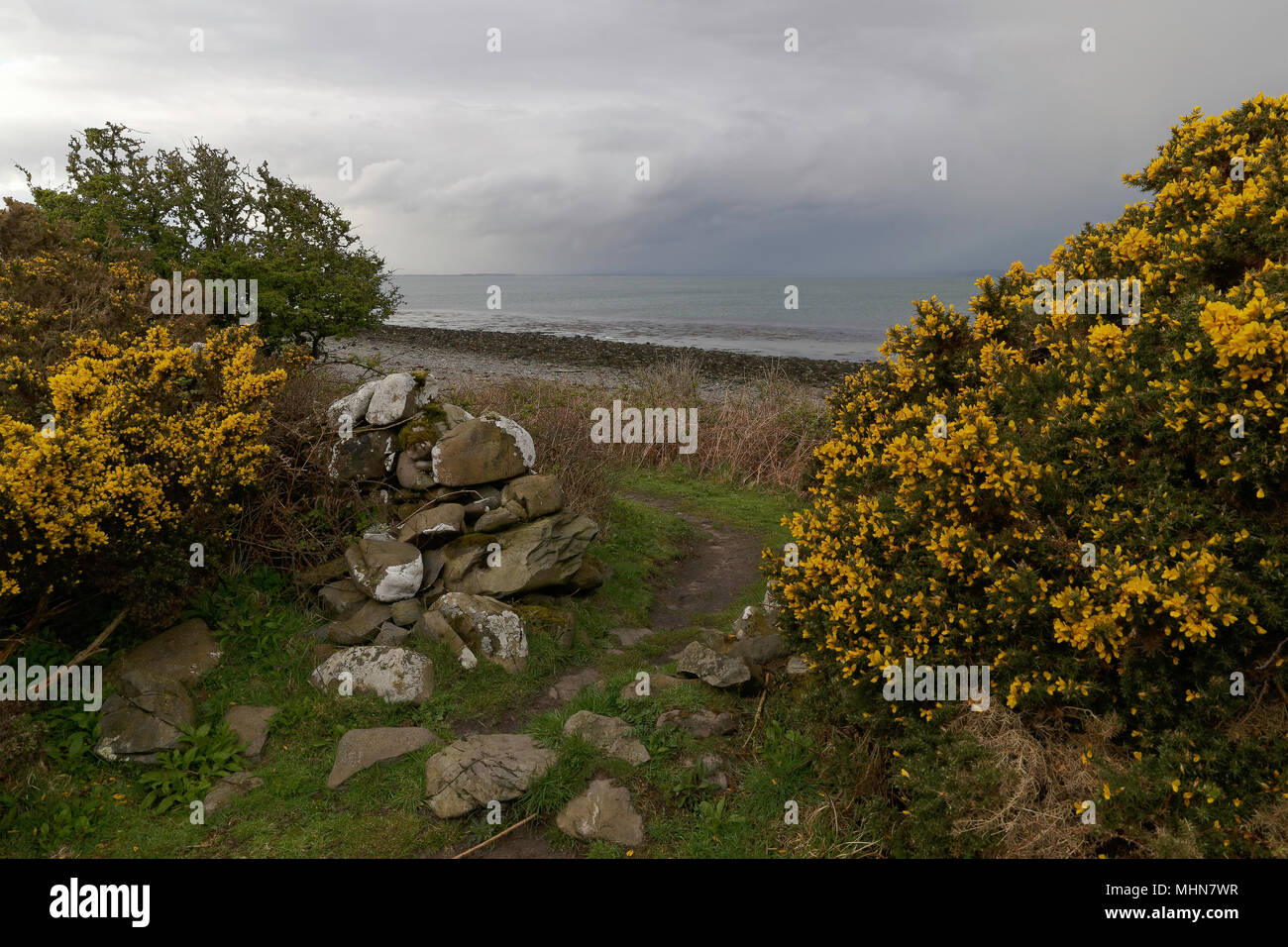 Dumfries & Galloway Countryside Paths Luce Bay Wigtownshire Stock Photo ...