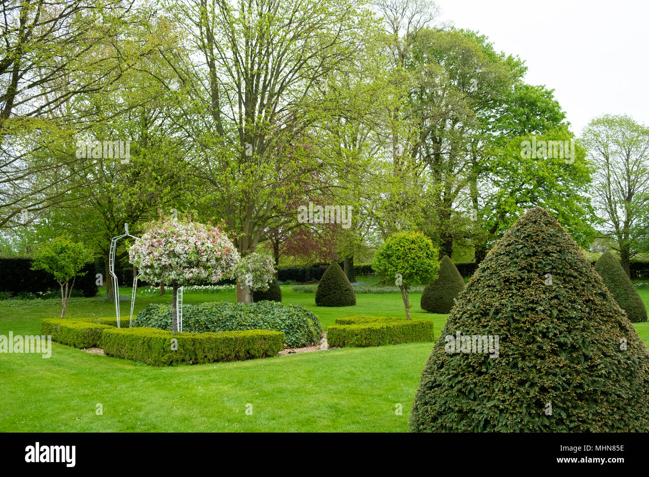 Pruned apple tree hi-res stock photography and images - Alamy